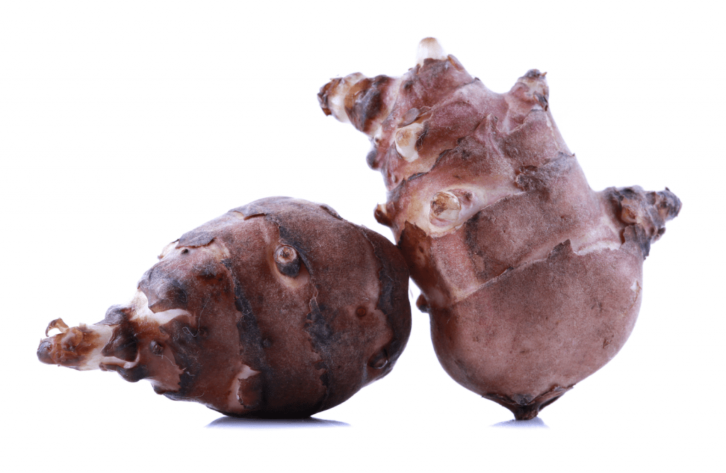 Ingredients | Ample Life – Wellness Centre Singapore